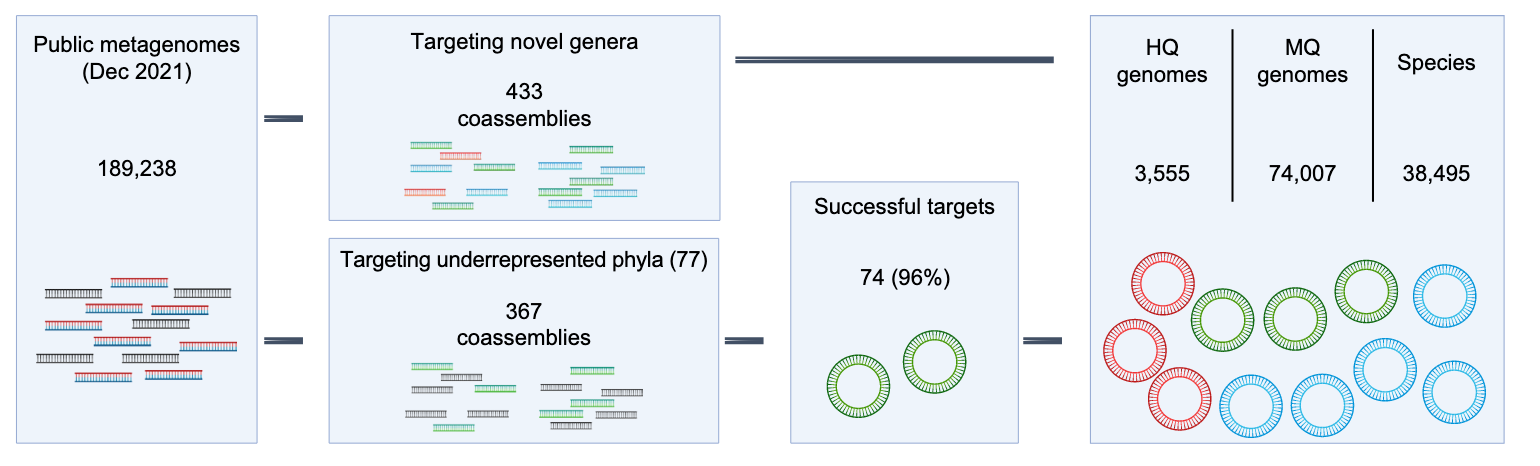 宏基因组分箱（binning）｜5. Bin Chicken靶向共组装