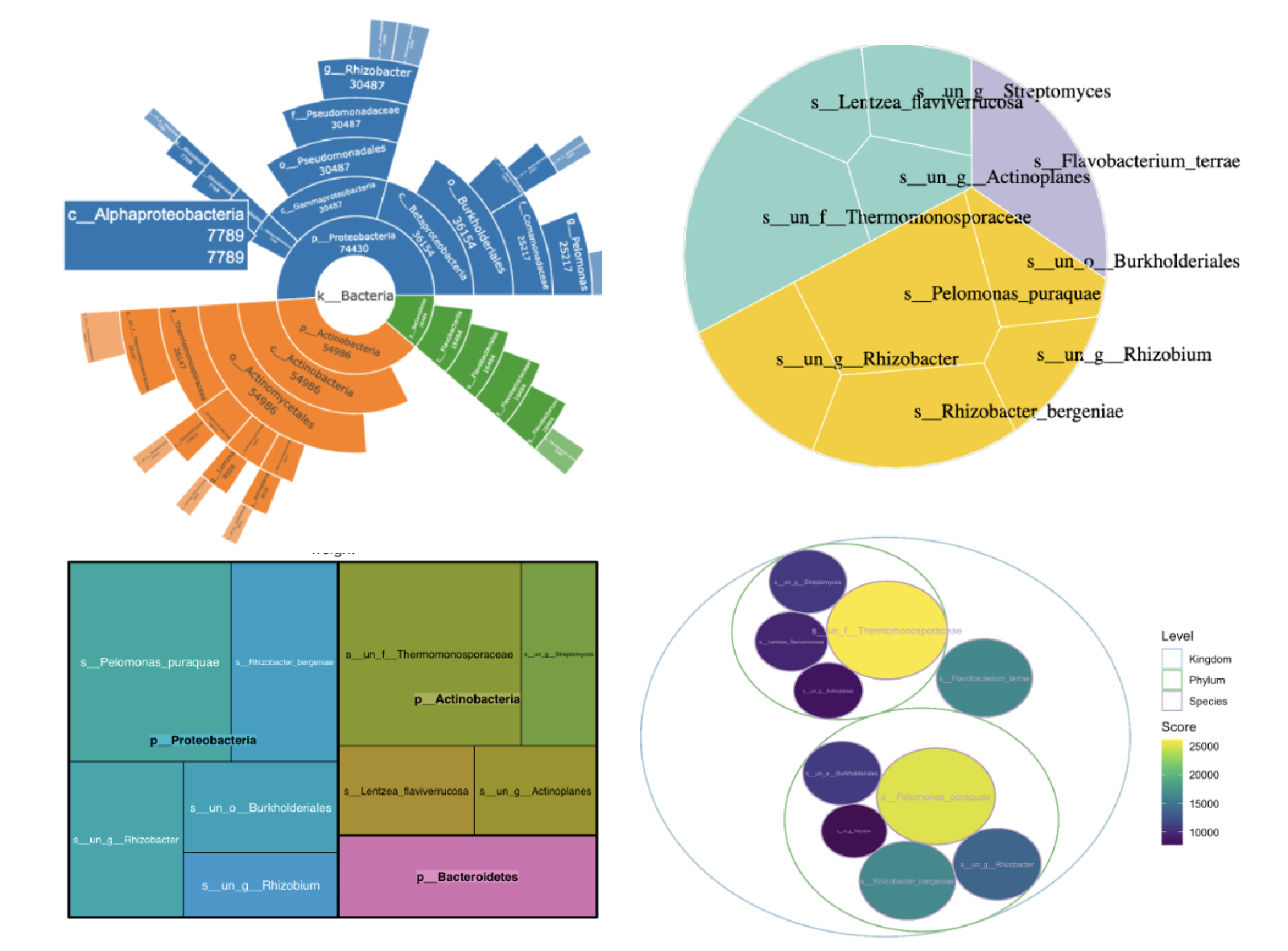 R展示层级数据（桑基/旭日/珠包/Treemap图等）