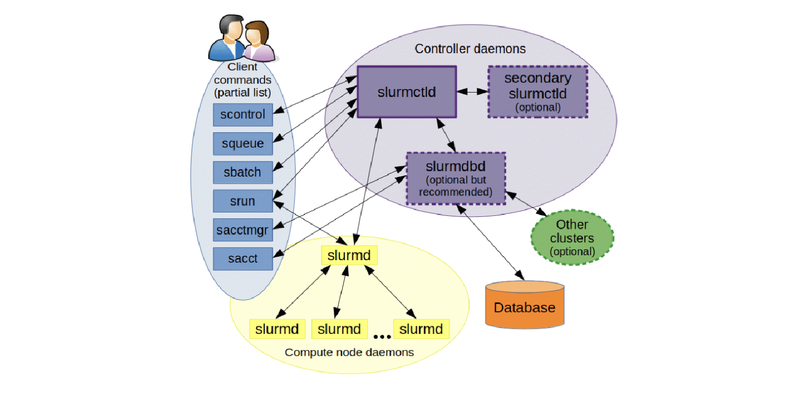 Slurm集群使用基础