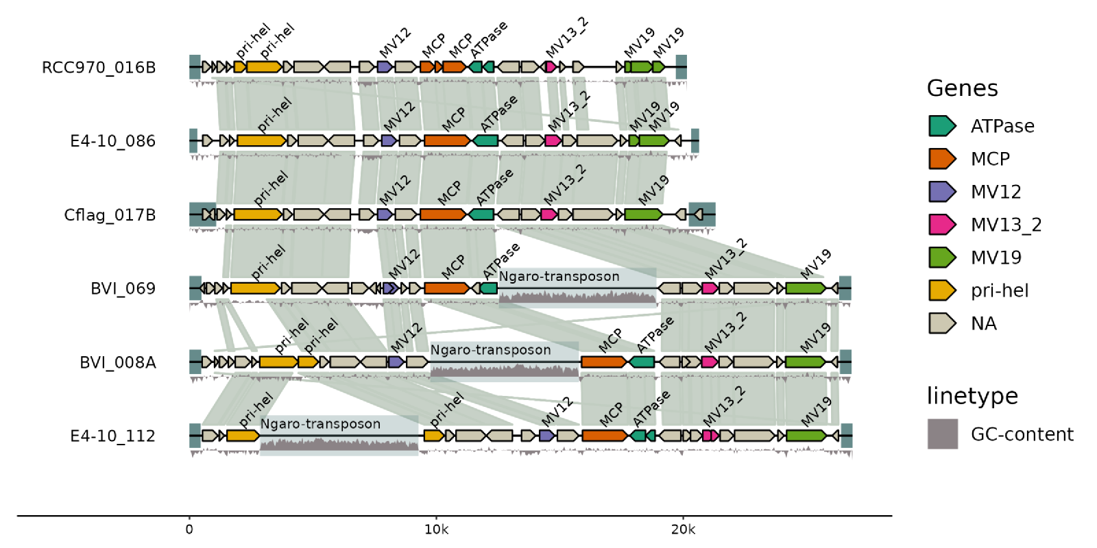基因组同线性（synteny）分析和可视化